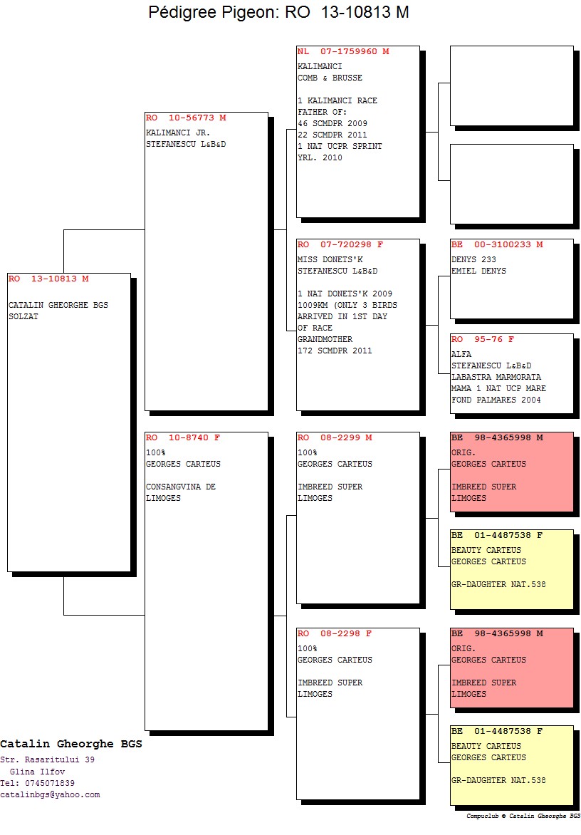 10813 – Porumbei.ro