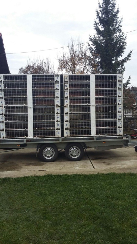 container-masina-porumbei-2 – Porumbei.ro