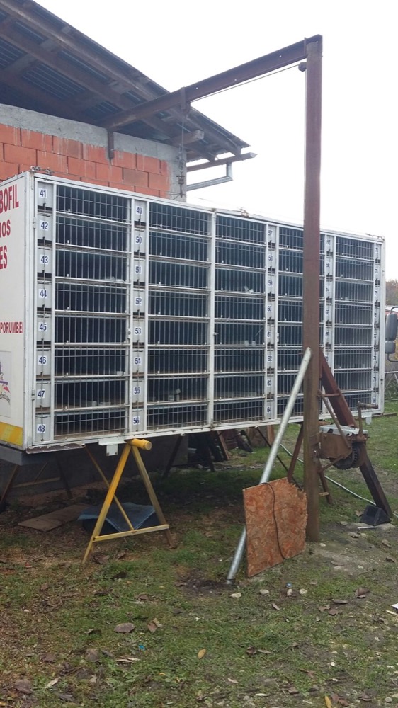 container-masina-porumbei-5 – Porumbei.ro