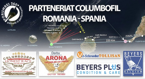 porumbei360-arona – Porumbei.ro