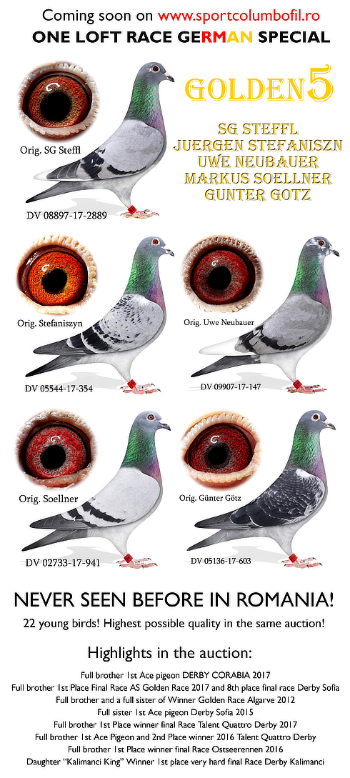 copertaOLRGERMANSPECIAL – Porumbei.ro