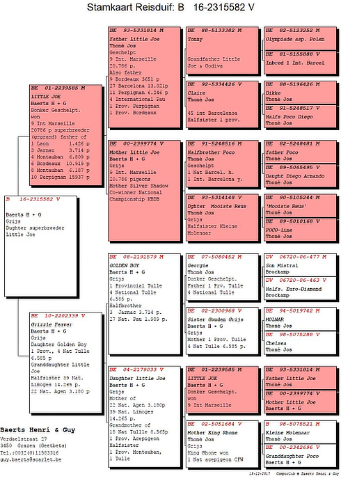 582ped – Porumbei.ro