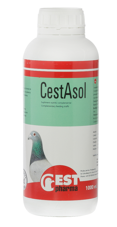 Cestasol – Porumbei.ro